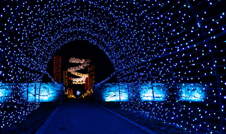 Winterlights returns to Canton’s Bradley Estate | Canton Citizen